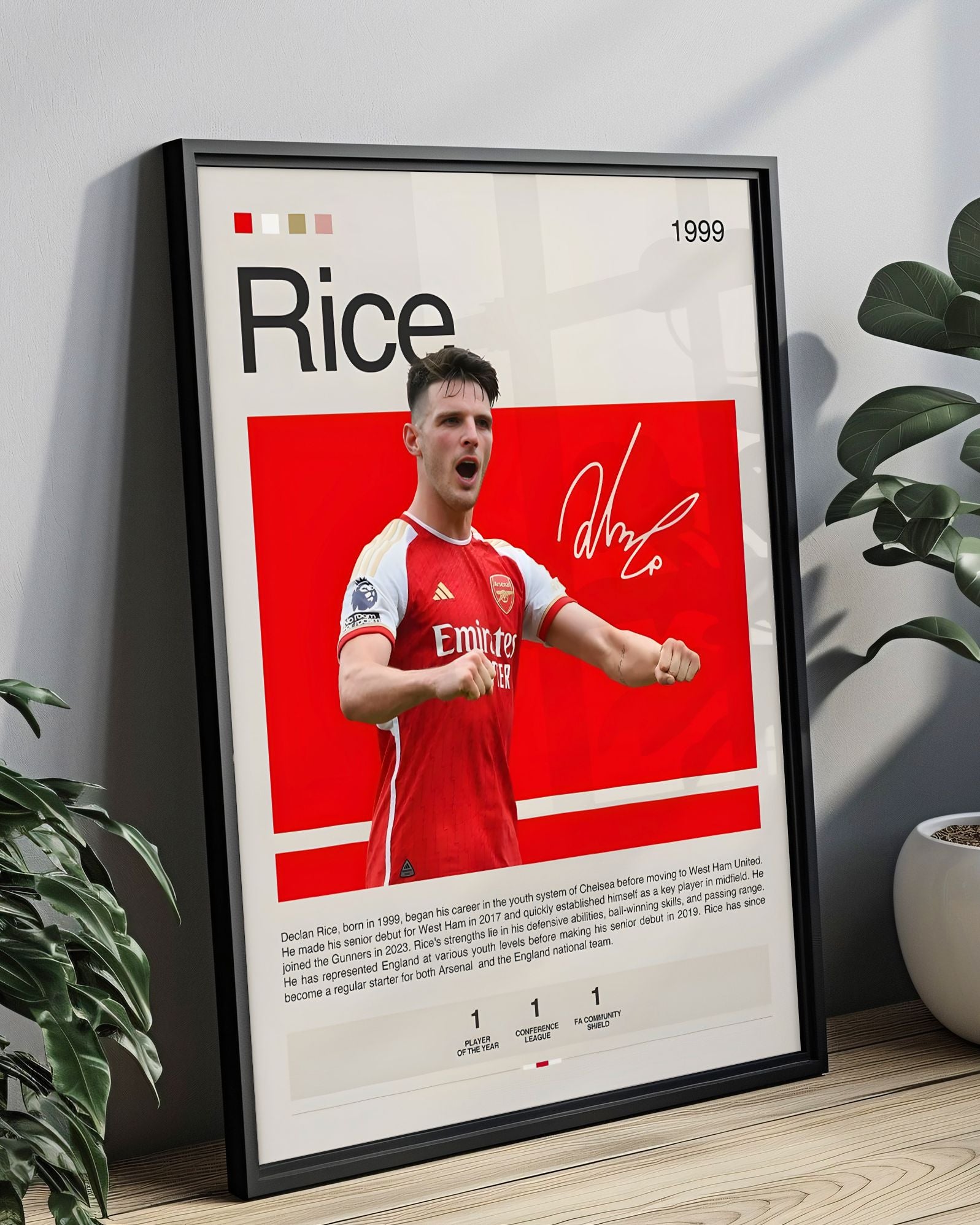 DECLAN RISE - ARSENAL – VIBE ZONE